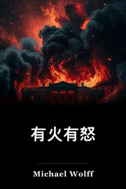 有火有怒 book cover