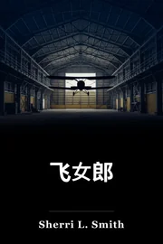 飞女郎 book cover