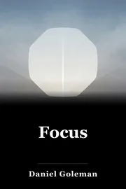 Focus book cover