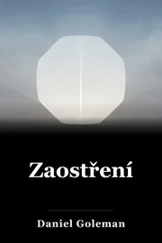 Zaostření book cover