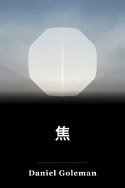 焦 book cover