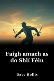 Faigh amach as do Shlí Féin book cover