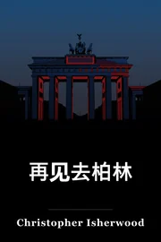 再见去柏林 book cover
