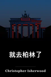 就去柏林了 book cover