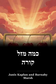 כמה מזל קורה book cover