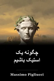 چگونه یک استیک باشیم book cover