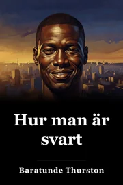 Hur man är svart book cover