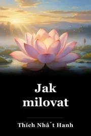 Jak milovat book cover