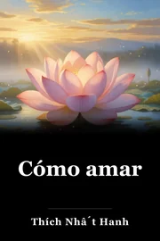 Cómo amar book cover