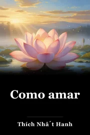 Como amar book cover