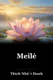 Meilė book cover