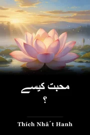 محبت کیسے ؟ book cover