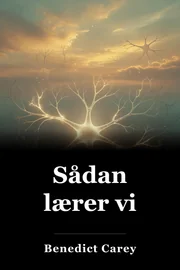 Sådan lærer vi book cover