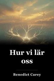 Hur vi lär oss book cover