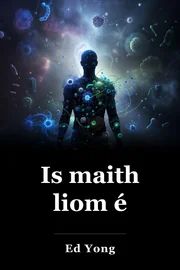 Is maith liom é book cover