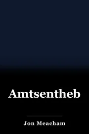 Amtsenthebung book cover