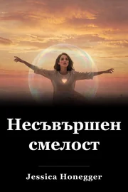 Несъвършена смелост book cover