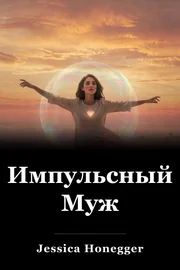 Импульсный Муж book cover