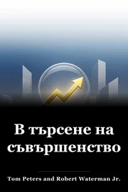 В търсене на съвършенство book cover