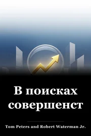 В поисках совершенства book cover