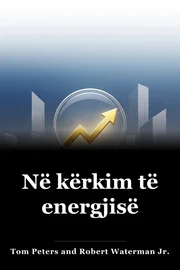 Në kërkim të energjisë book cover