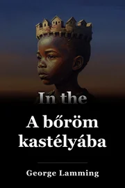 A bőröm kastélyában. book cover