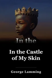 In the Castle of My Skin book cover