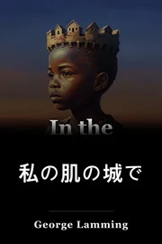 私の肌の城で book cover
