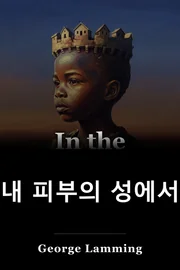 내 피부의 성에서 book cover