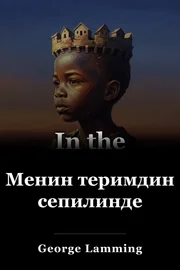 Менин теримдин сепилинде book cover