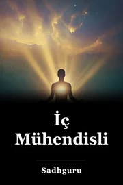 İç Mühendisliği book cover