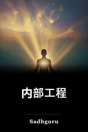 内部工程 book cover