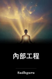 內部工程 book cover