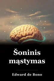 Šoninis mąstymas book cover