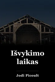 Išvykimo laikas book cover