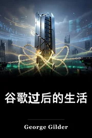 谷歌过后的生活 book cover