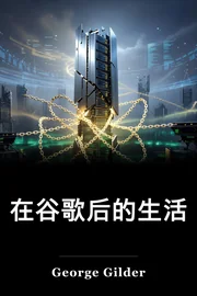 在谷歌后的生活 book cover
