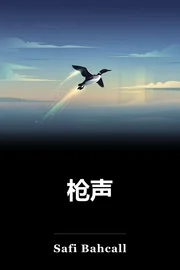 枪声 book cover