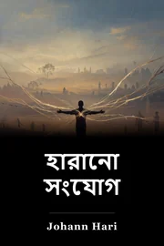 হারানো সংযোগ book cover