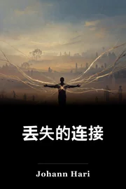丢失的连接 book cover