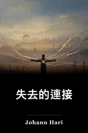 失去的連接 book cover