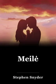 Meilė book cover