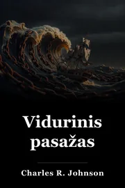 Vidurinis pasažas book cover