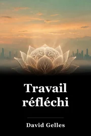 Travail réfléchi book cover
