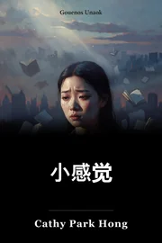 小感觉 book cover