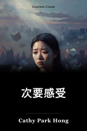 次要感受 book cover