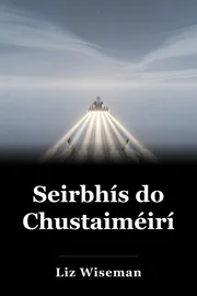 Seirbhís do Chustaiméirí book cover