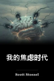 我的焦虑时代 book cover