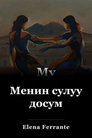Менин сулуу досум book cover