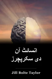 انسائٹ آن دی سکرپچرز book cover